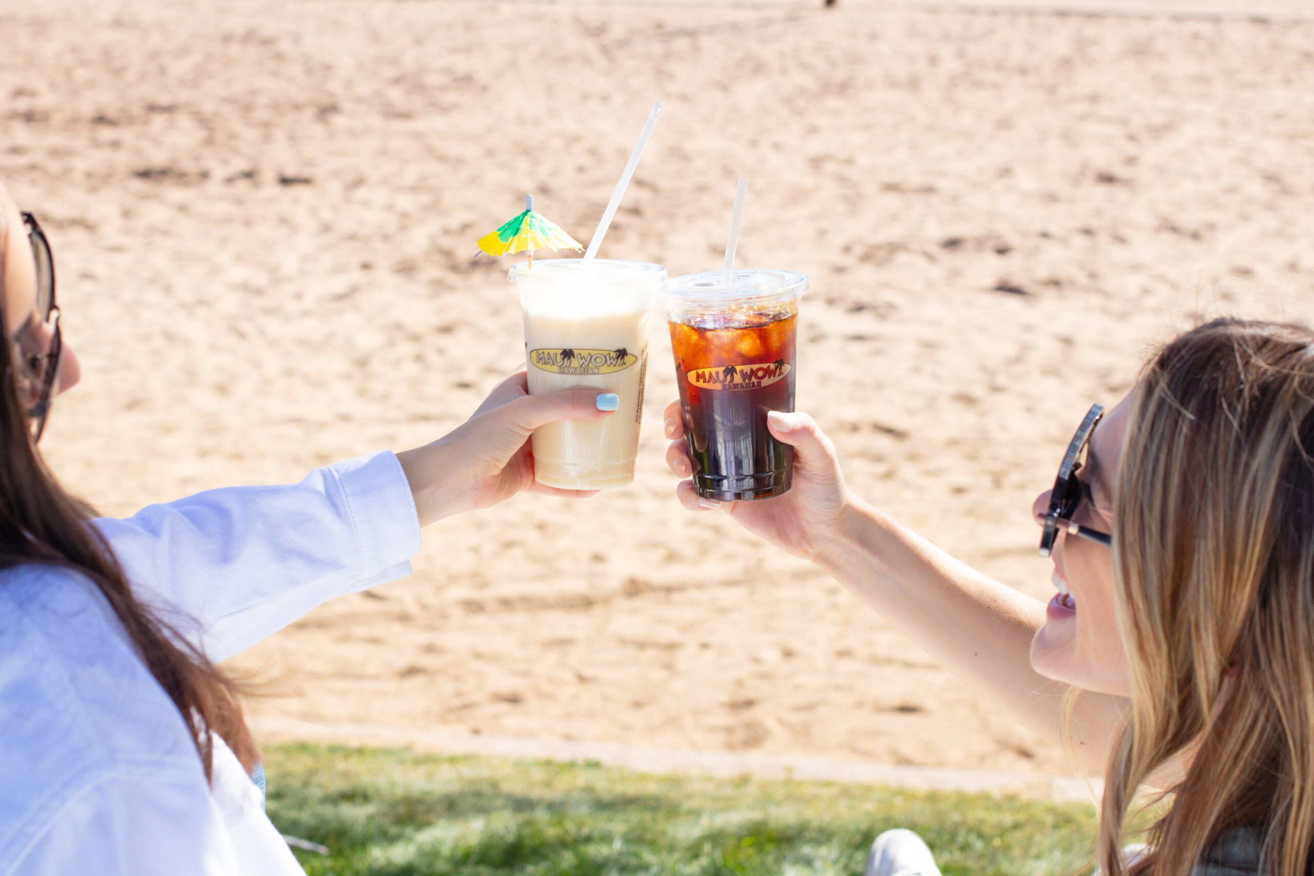 Mowi Wowi Franchise Benefits Of Owning A Mobile Food Franchise - Mowi ...